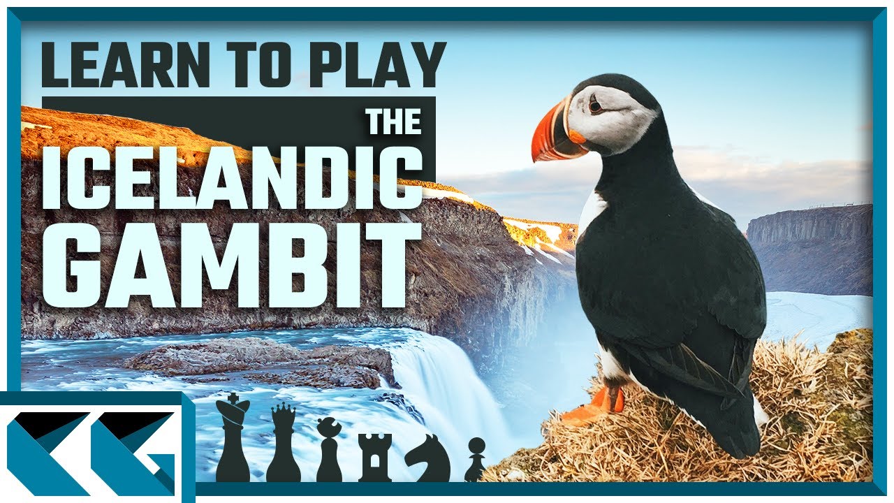 The Icelandic Gambit! (Quick Introduction)