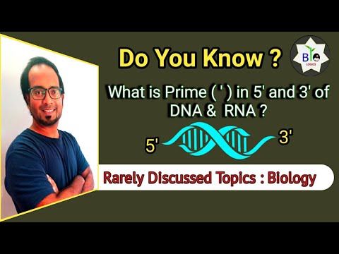 What is ( ' ) PRIME in 5' and 3' in DNA RNA ? !! DNA & RNA !! Basics - BioLogics