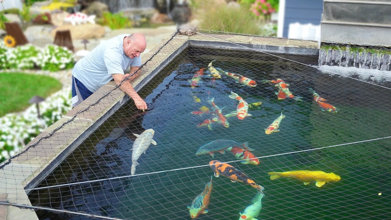 3 Weeks to a Beautiful Koi Pond | Easy DIY Home Improvement