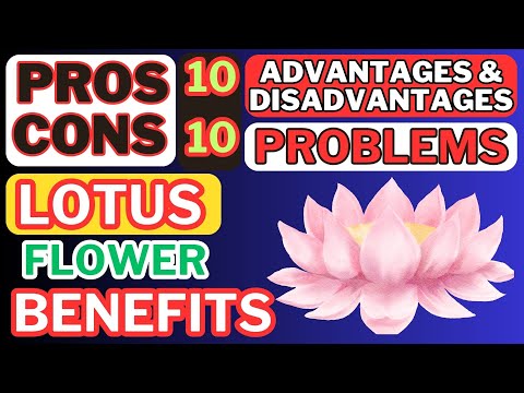 LOTUS FLOWER: BENEFITS And USES | LOTUS ROOT - HEALTH BENEFITS AND NUTRIENT FACTS Close BooK