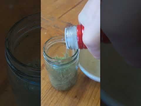 How I make Usnea Tincture (folk method)