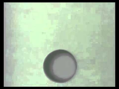 Logo Spoof: Scarier than VID