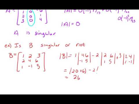 Sec 3.2 Introduction to singular matrices