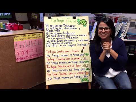 Learn a turtle song in Spanish! "La Tortuga Concha" - A traditional children Chilean song!