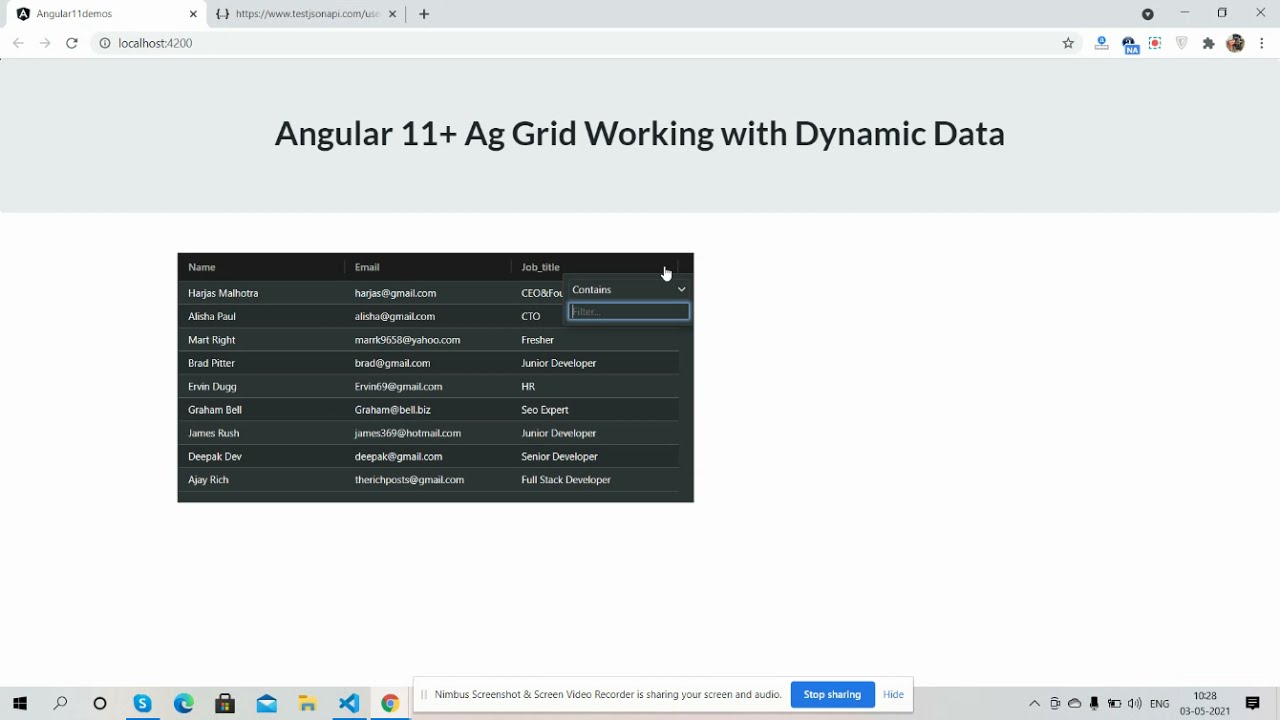 Ag-grid in Angular 11 with Dynamic Data