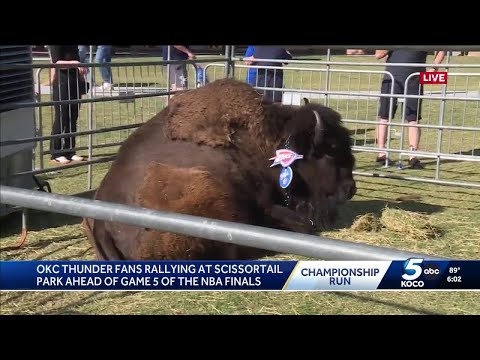 Clyde the Buffalo outside Paycom Center ahead of Game 5 of NBA Finals