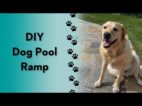 DIY pool ramp for my dog! #howto #tutorial #labrador