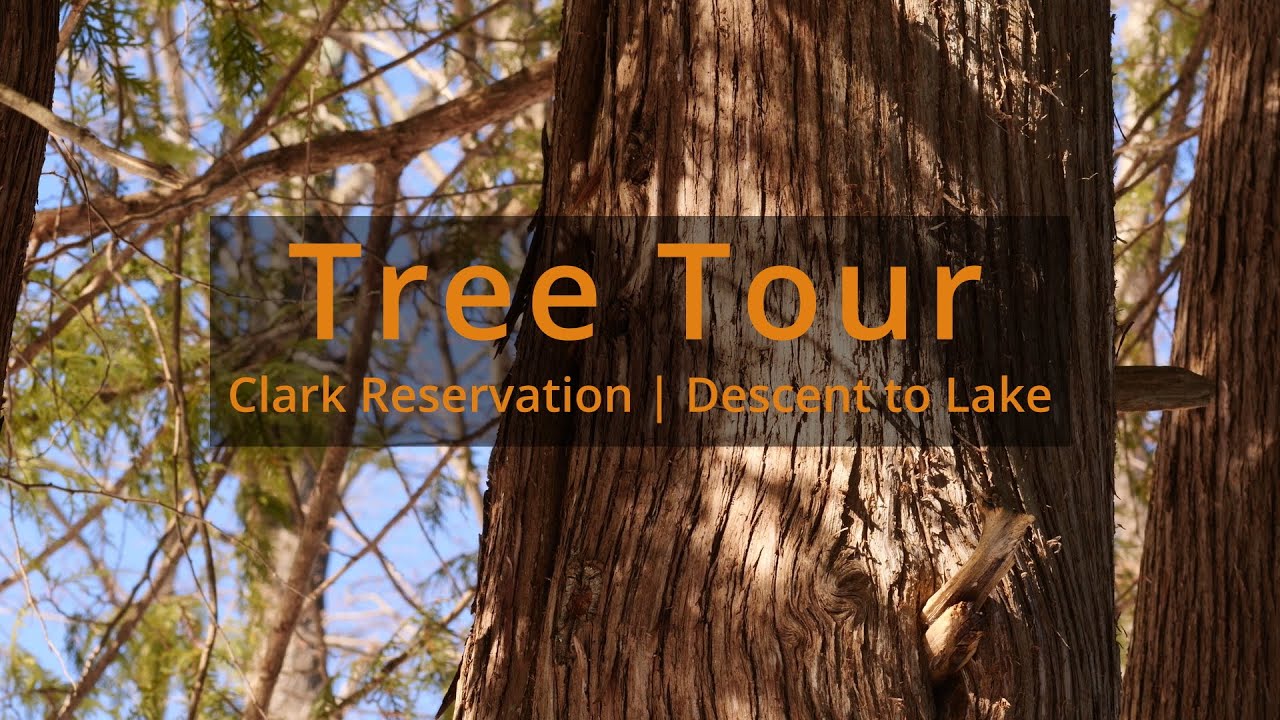 Clark Reservation Descent!