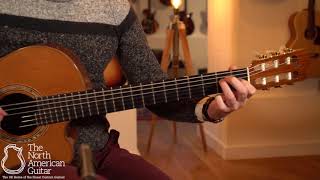 Manzer Nylon-String Acoustic - What To Know & Where To Buy | Equipboard