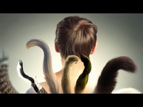 If Humans Had Tails Like Animals |