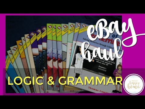 HOMESCHOOL EBAY HAUL || Critical Thinking Co. Logic Workbooks