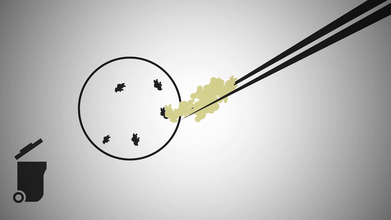 Demonstration Multi-Enzyme Cascade
