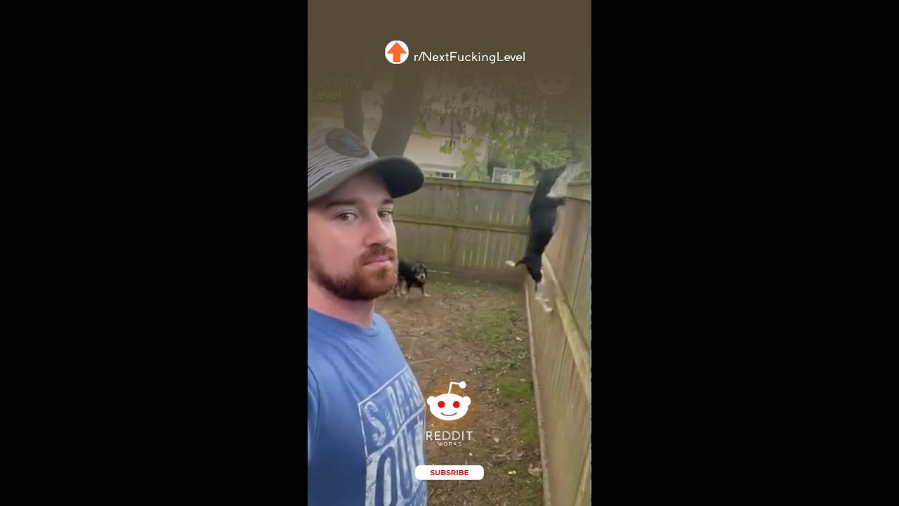 Next F**King Level #1 | r/NextFuckingLevel | Reddit Works | #Shorts
