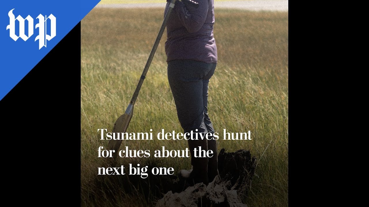 How tsunami detectives hunt for clues about the next big one