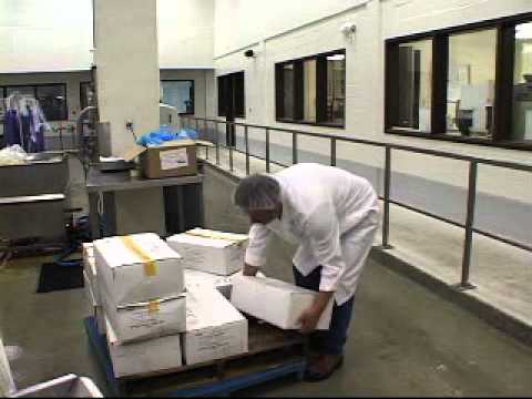 Ergonomics in the workplace
