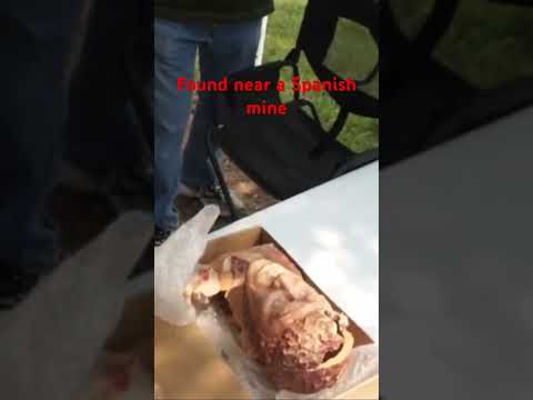Ancient artifact found in Utah 720x1280 MOV
