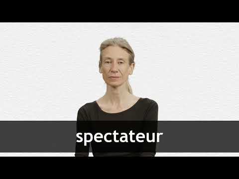 English Translation of “SPECTATEUR” | Collins French-English Dictionary