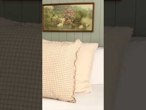 Create a Tranquil Haven: Best Sage Green Paint Colors Revealed!
