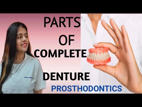 PARTS OF COMPLETE DENTURE | PROSTHODONTICS | DR. SURABHI SAHNEY