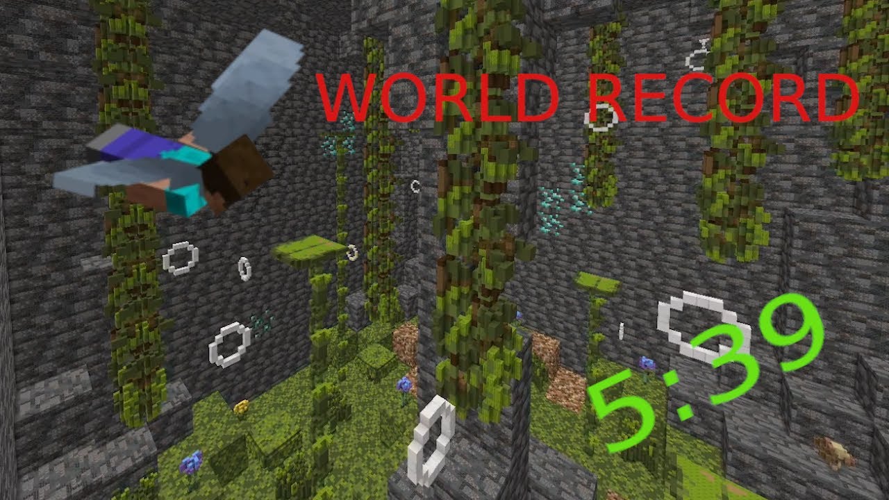 FORMER WORLD RECORD in Elytra Rush | All Levels