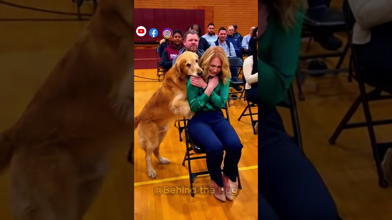 When Shelter Dogs Decide Who Goes Home 🐾 #DogAdoption, #RescueDog