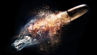 Börü - TV Dizisini internetten izleyin