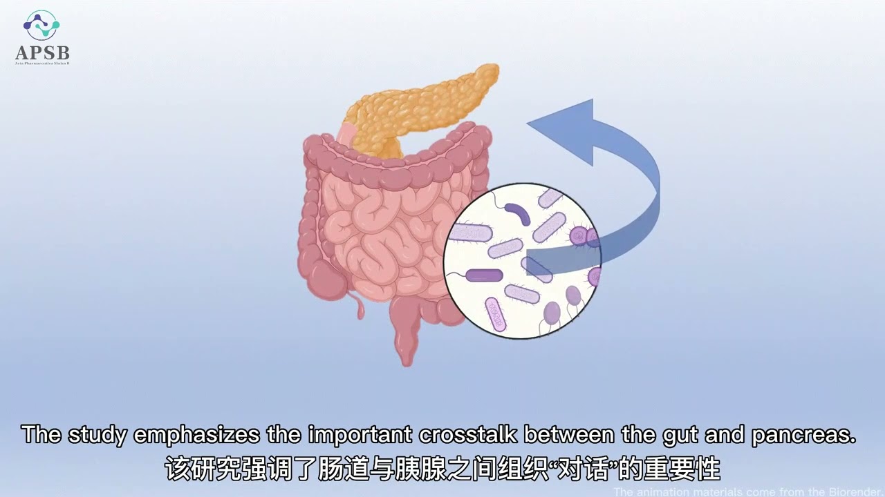 APSB Video Abstract - Volume 13, Issue 10 (Front Cover)