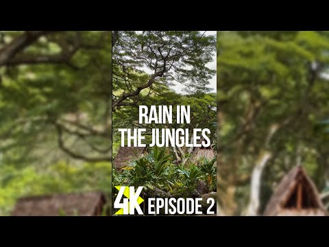 4K Rain in the Jungle – Episode 2 | Relaxing Vertical Screensaver with Real Tropical Sounds