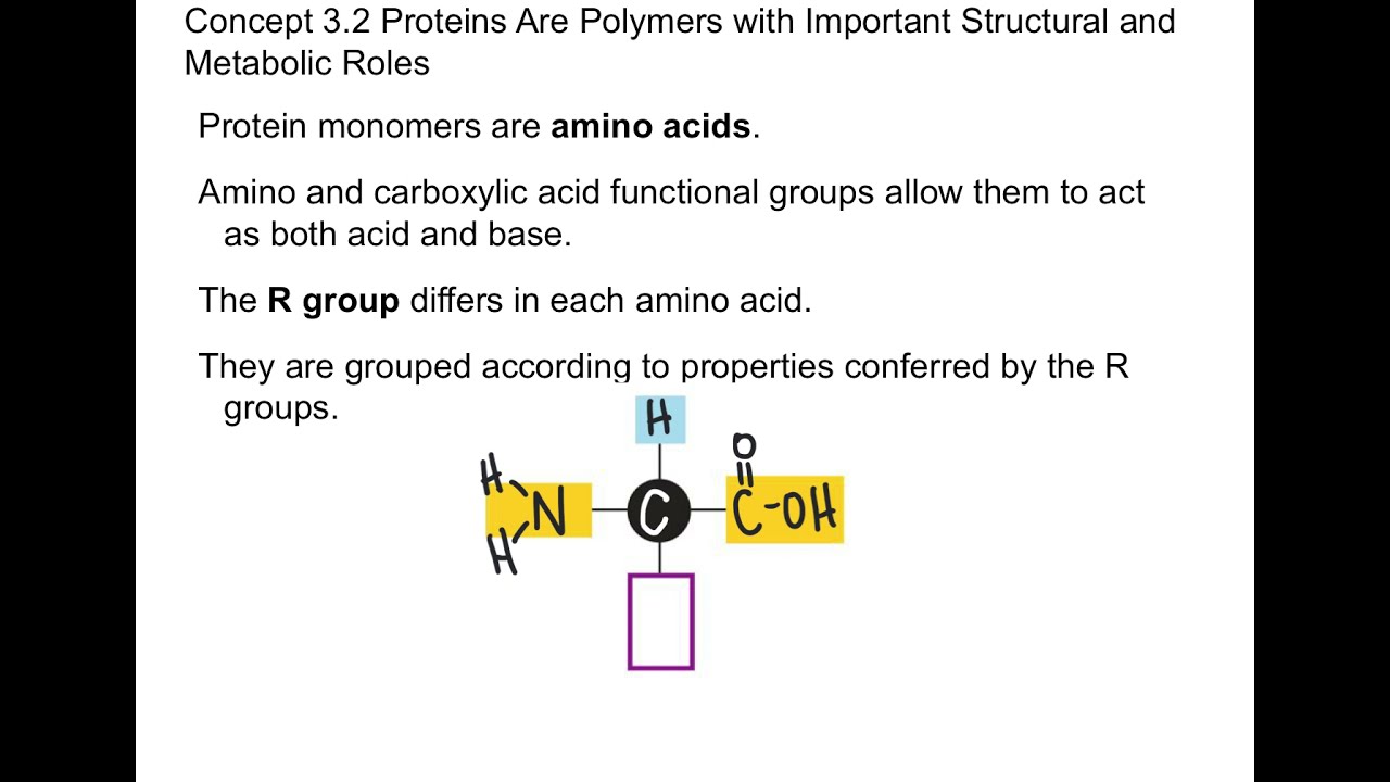 Notes Proteins