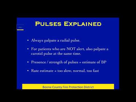 Pt Assessment