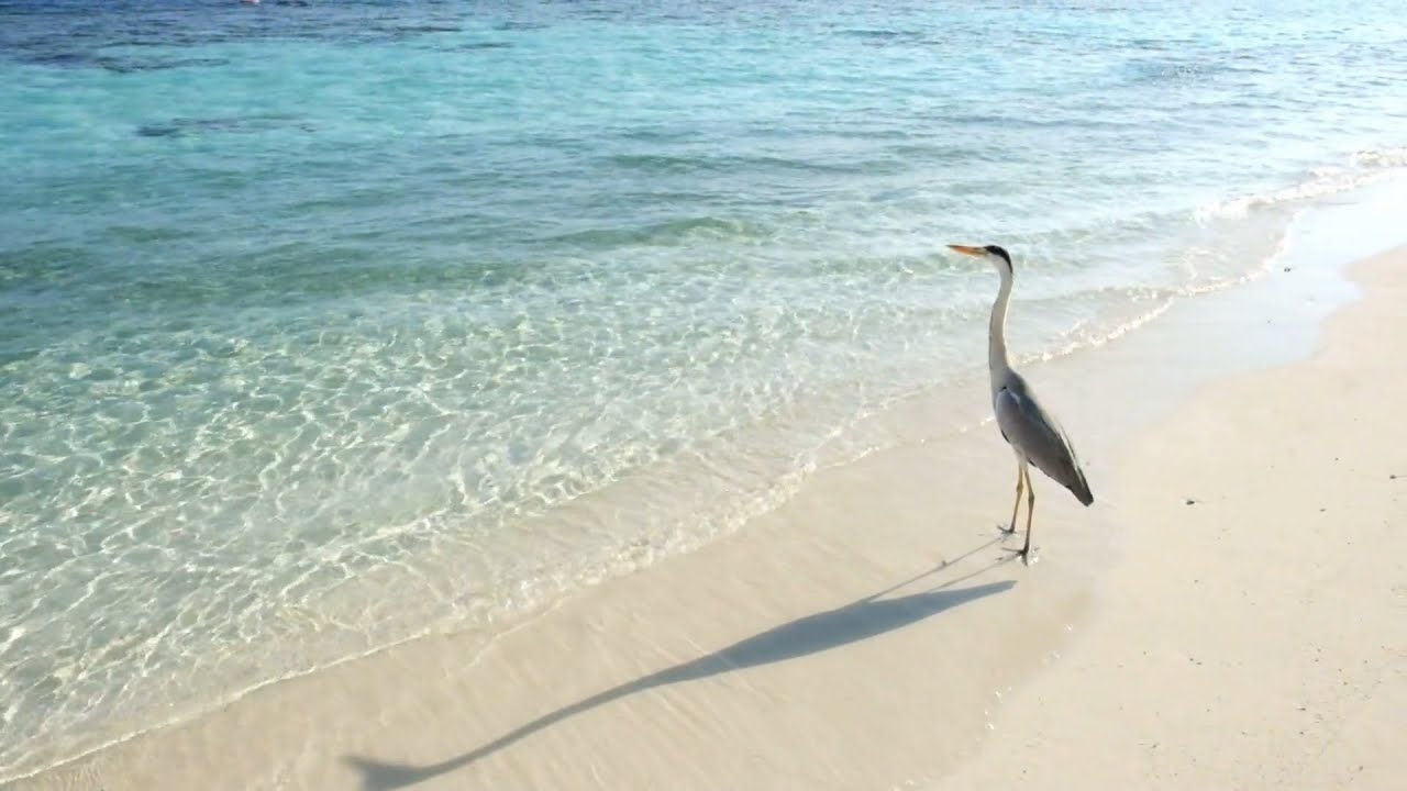 Kata Kata Mutiara tentang Laut sebagai Inspirasi Menjalani Kehidupan