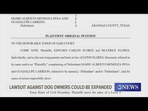 Thomas J. Henry: Aransas County also to be examined in dog-mauling death