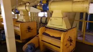 Jual CB (PalmitEco) Nut Cracker / Ripple Mill / Mesin press nut ...