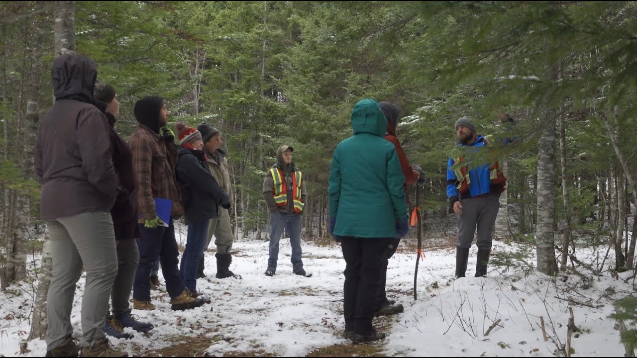 Introduction to Ecological Forestry #2