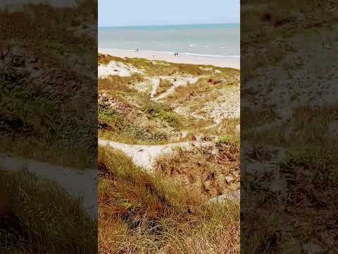Sentinels of History: Delving into Atlantikwall WWII - Dune Bunkers @ Stützpunkt Anna