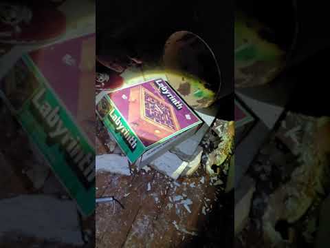 Exploring the Abandoned Midwest- Mattoon, Illinois- Old Shoe Factory/Elementary School- 2nd floor