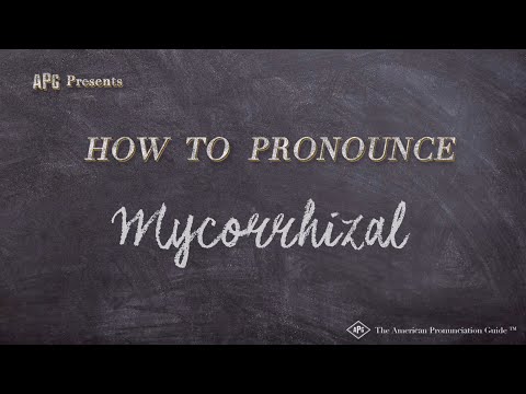 How to Pronounce Mycorrhizal (Real Life Examples!)