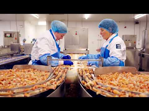 What is Scampi?