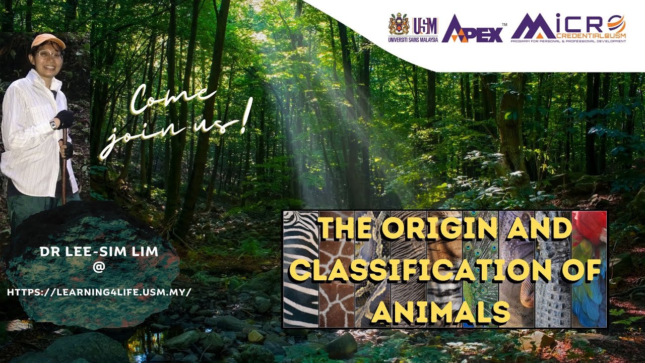 The Origin and Classification of Animals | Learning for Life