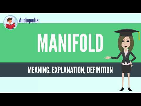 What Is MANIFOLD? MANIFOLD Definition & Meaning