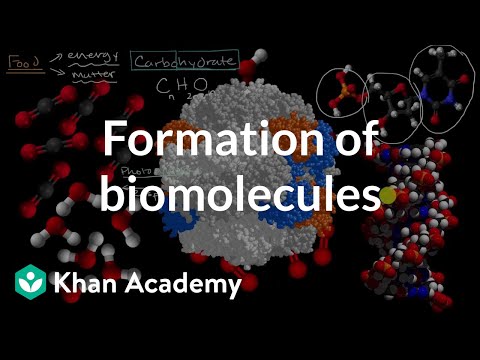 Formation of biomolecules (video) | Khan Academy