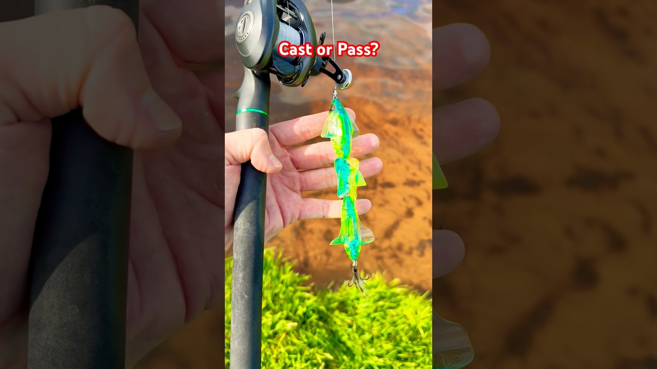 CRAZY EXPENSIVE FISHING LURE!