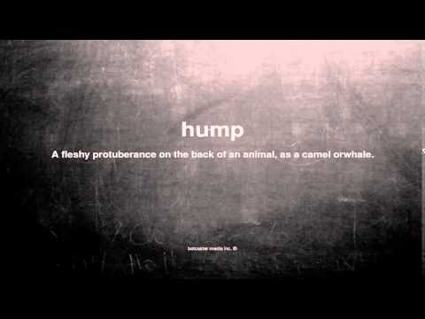 What does hump mean