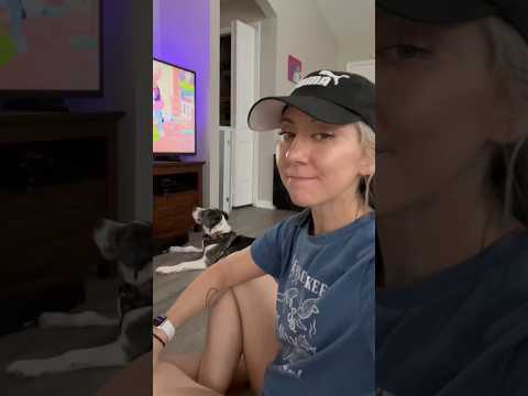 does your dog watch Bluey?