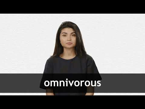 OMNIVOROUS 释义 | 柯林斯英语词典