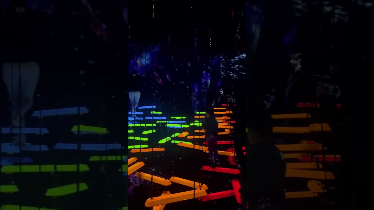 Inside Tokyo’s Mind-Blowing Digital Museum! 🤯 | teamLab Japan