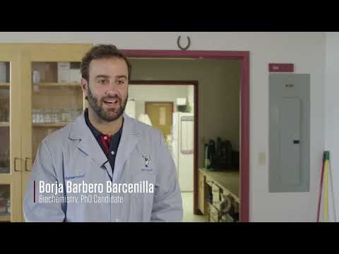 Studying Chromosomes with Dr. Dorothy Shippen