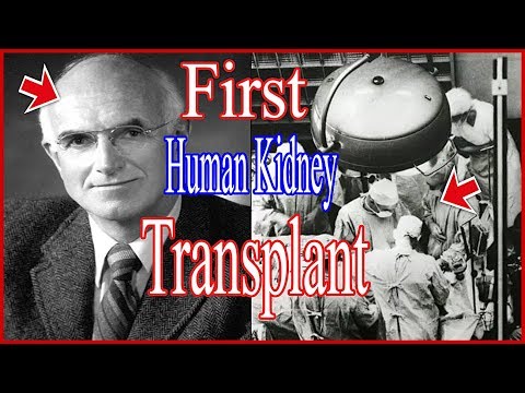 This Day In History December 23, 1954, First Human Kidney Transplant