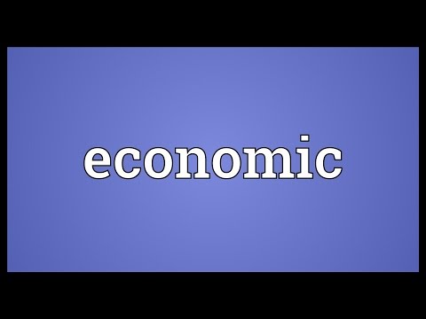 Economic Meaning