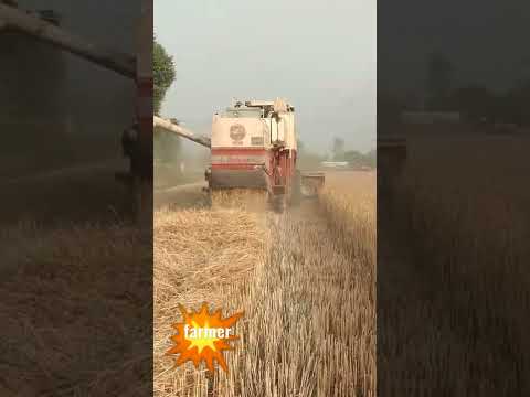 farmer ford harvester COMBINE :)